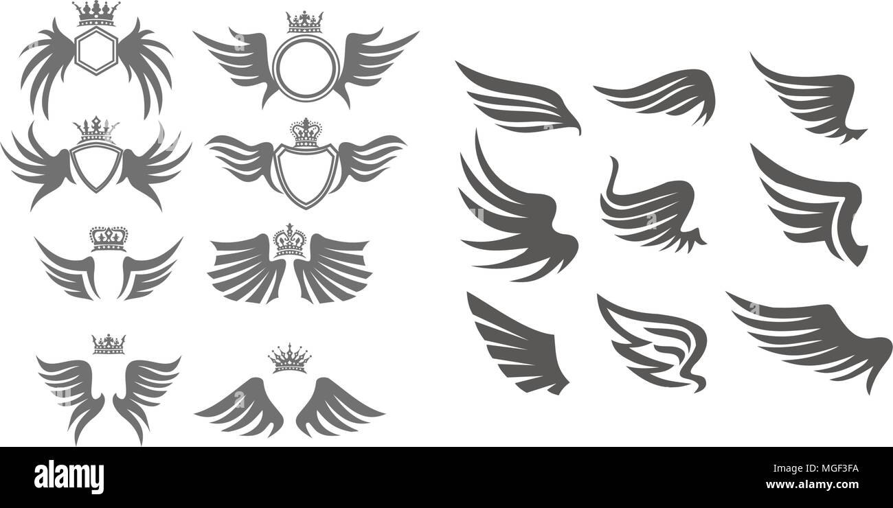 Wing Collection Set Stock Vector Image & Art - Alamy