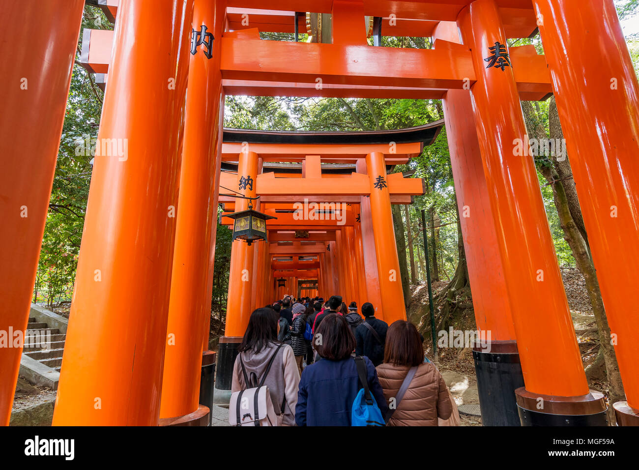 Crowd of visitors under the torii gates of the Fushimi Inari shrine in ...
