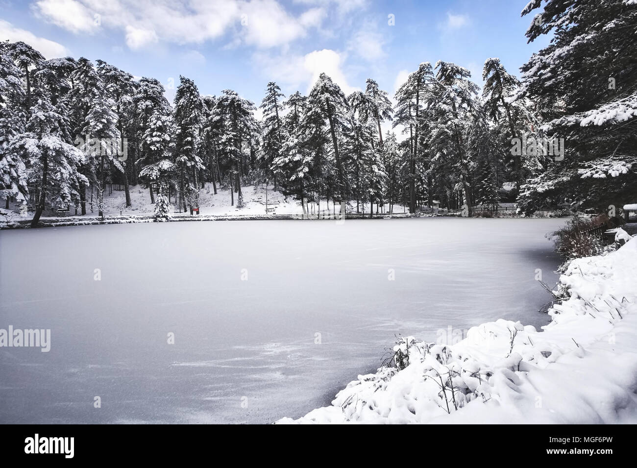 frozen lake landscape with trees snow and clouds Stock Photo - Alamy