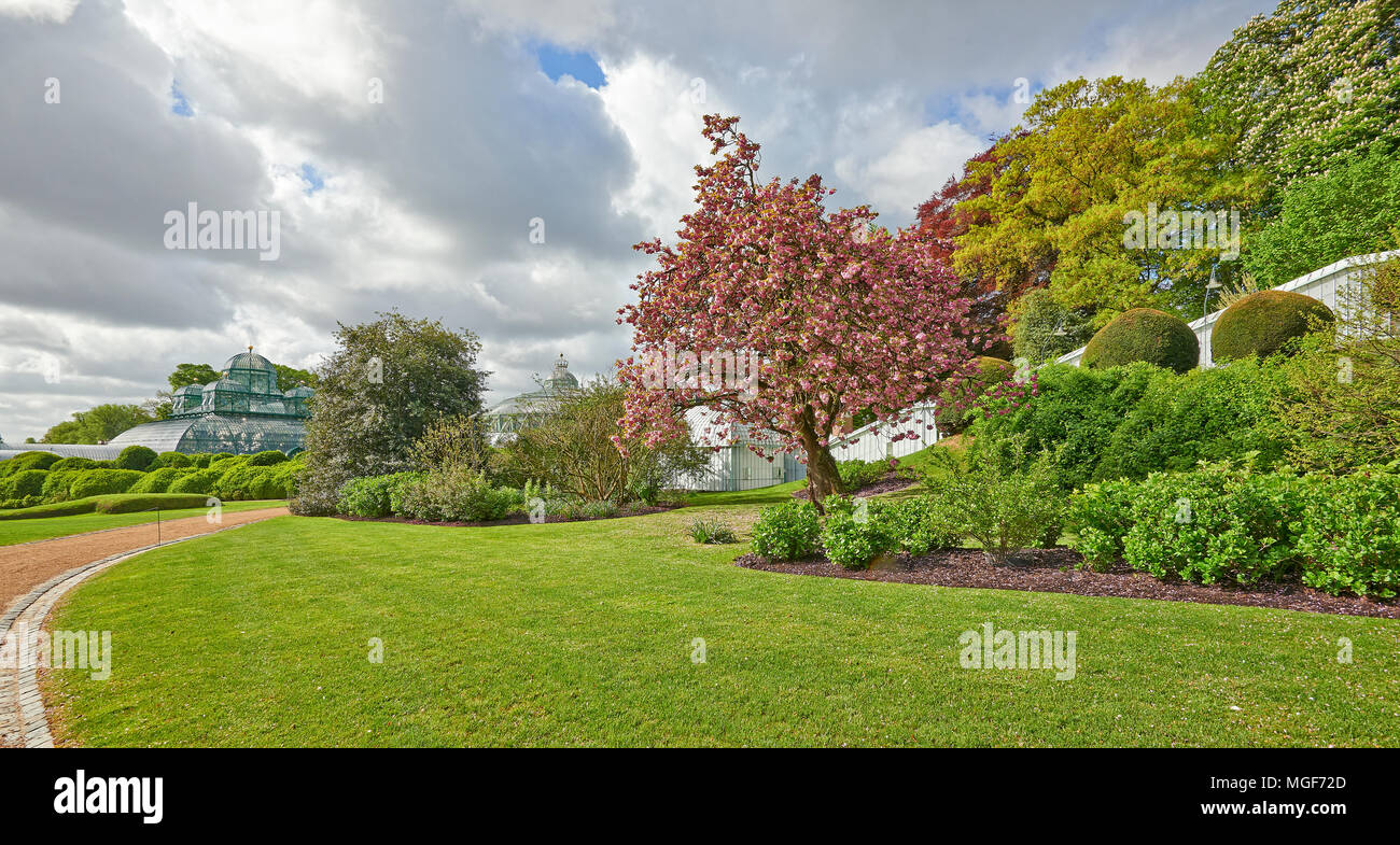 BRUSSELS, BELGIUM, APRIL 26, 2018: The Royal Greenhouses of Laeken. A ...
