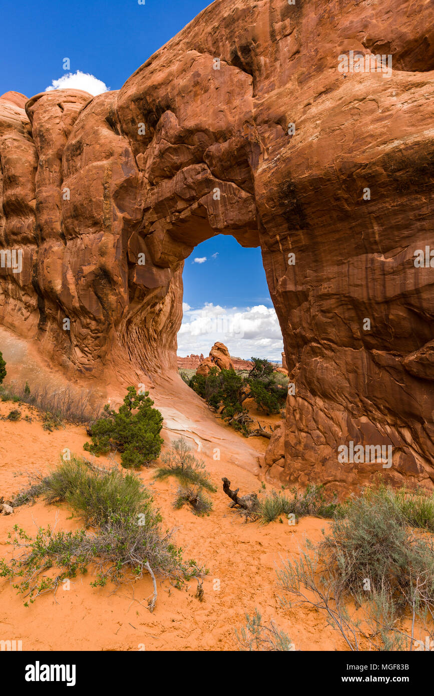 Pine Tree Arch, Arches National Park, Utah, USA Stock Photo - Alamy