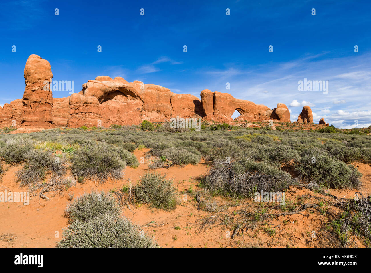 The Windows Arches in late afternoon light, Arches National Park, Utah ...