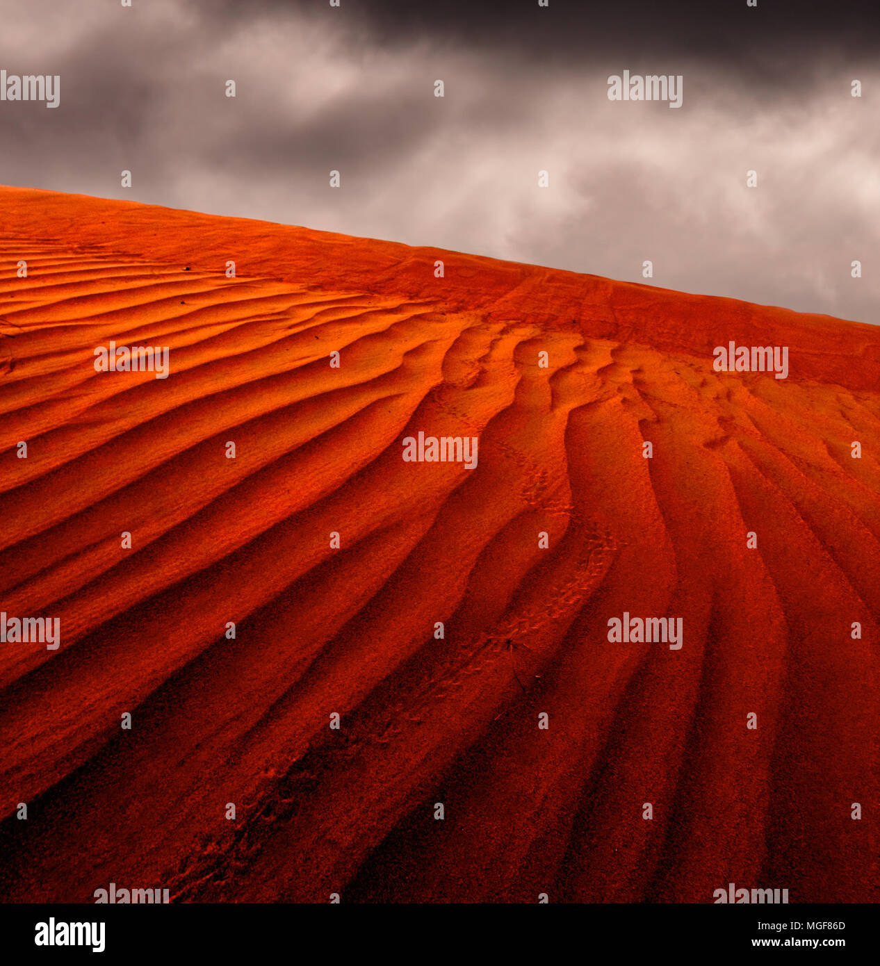 Rain in sahara desert hi-res stock photography and images - Alamy