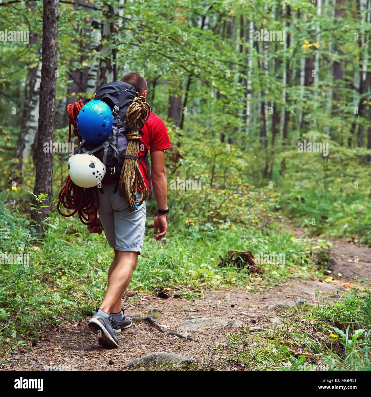 Hiker backpack forest hi-res stock photography and images - Alamy