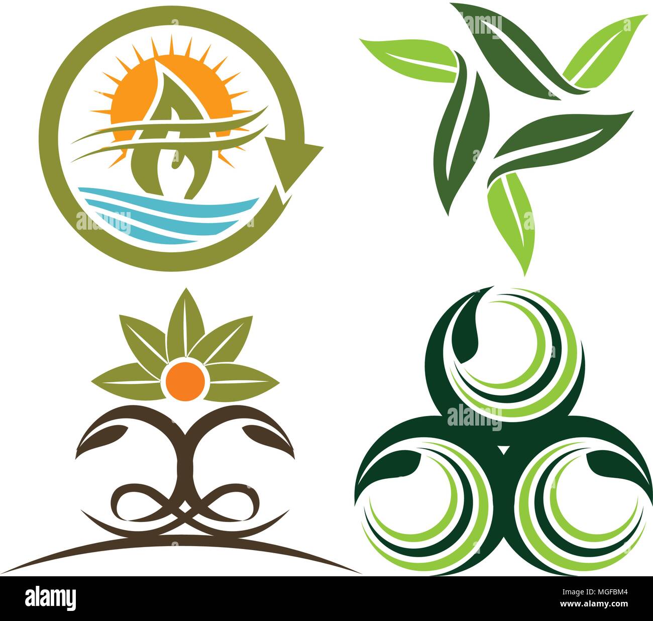 Oak blossom flower Stock Vector Images - Alamy