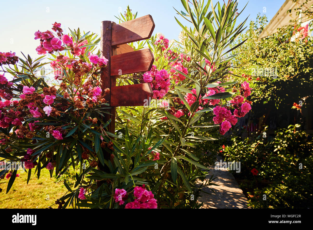 Empty signpost hi-res stock photography and images - Alamy