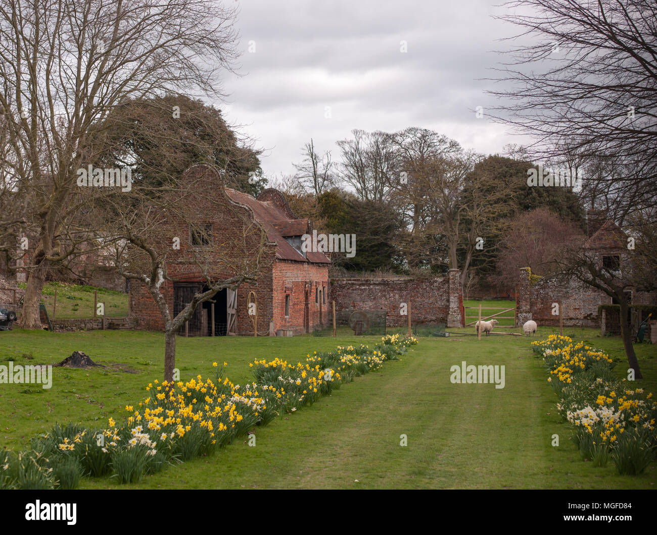 Wildflowers of Kent at Northbourne Farm in the Garden of England Stock ...