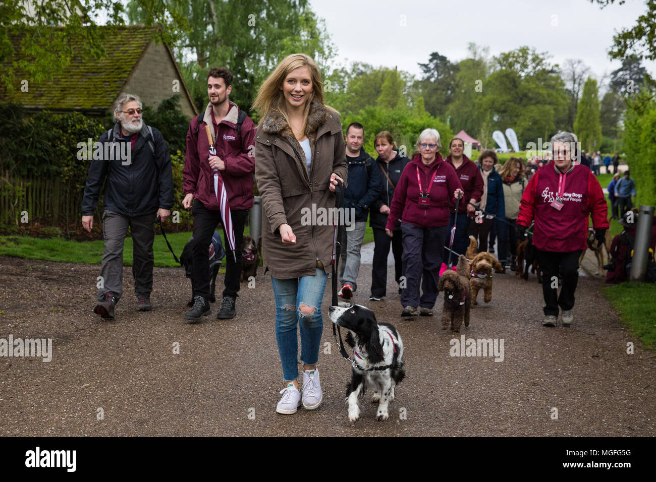 Hearing dogs alarm hi-res stock photography and images - Alamy