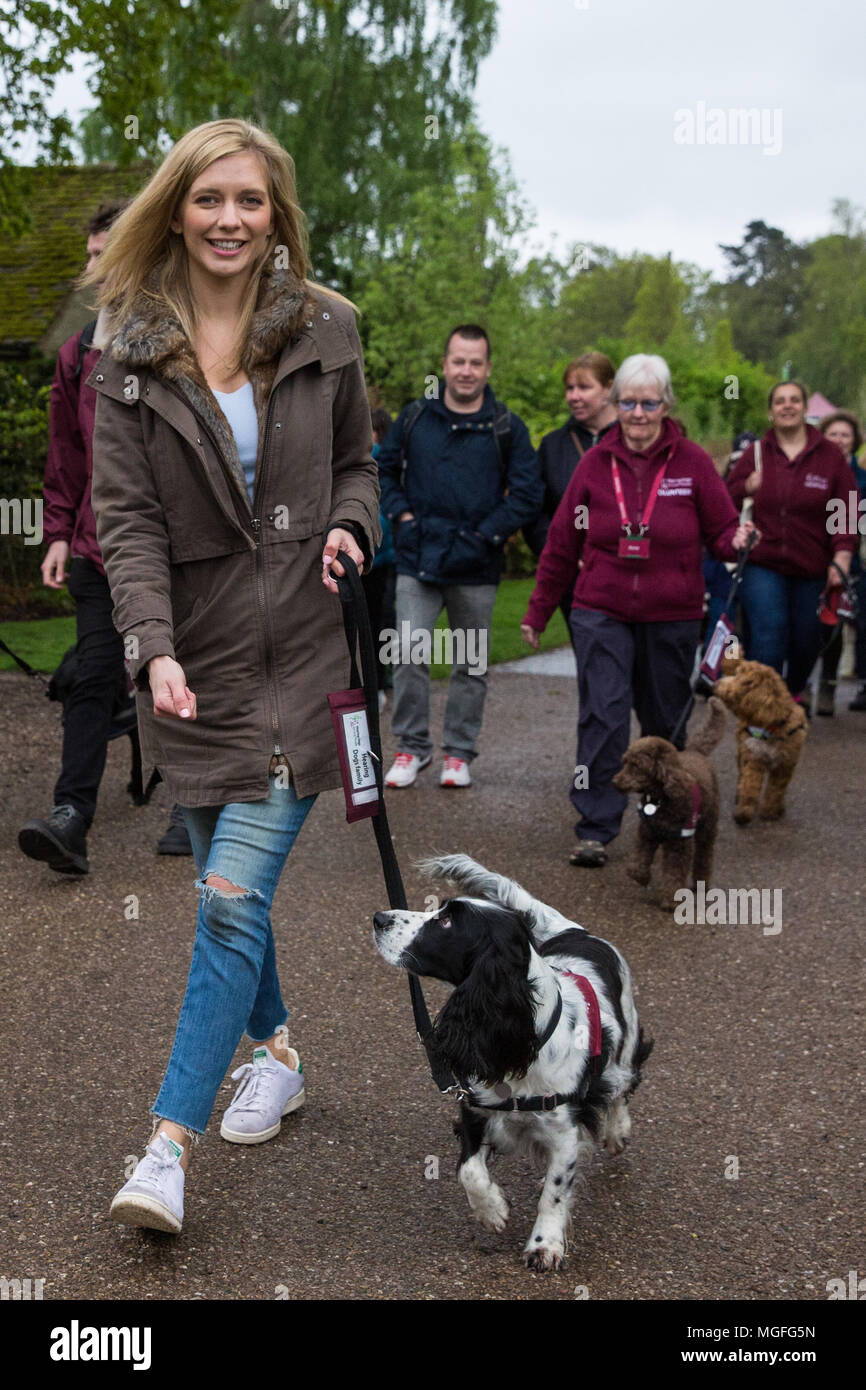 Hearing dogs alarm hi-res stock photography and images - Alamy