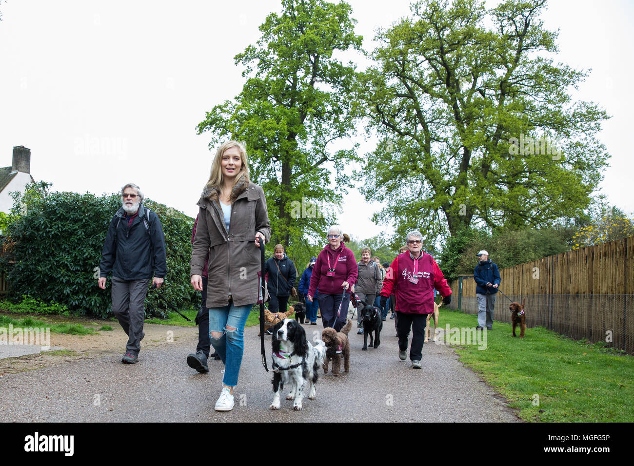 Hearing dogs alarm hi-res stock photography and images - Alamy