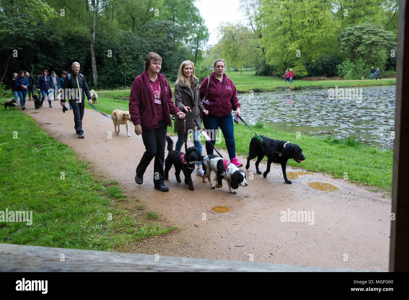 Hearing dogs alarm hi-res stock photography and images - Alamy
