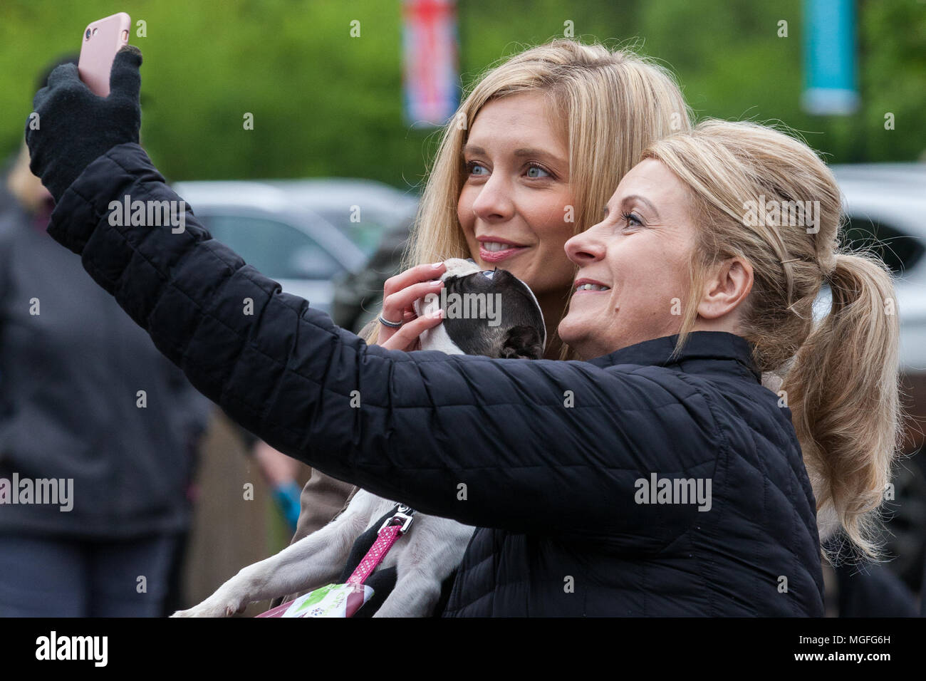 Hearing dogs alarm hi-res stock photography and images - Alamy