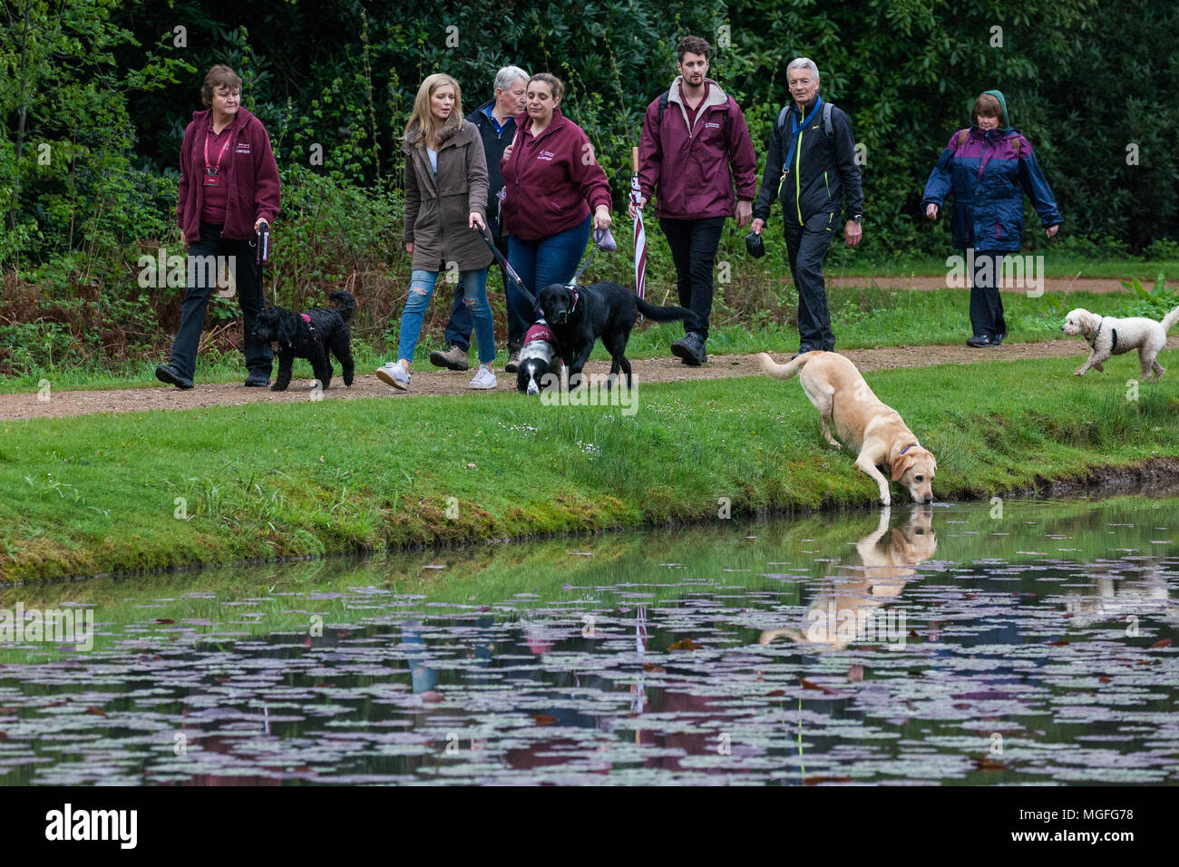 Hearing dogs alarm hi-res stock photography and images - Alamy