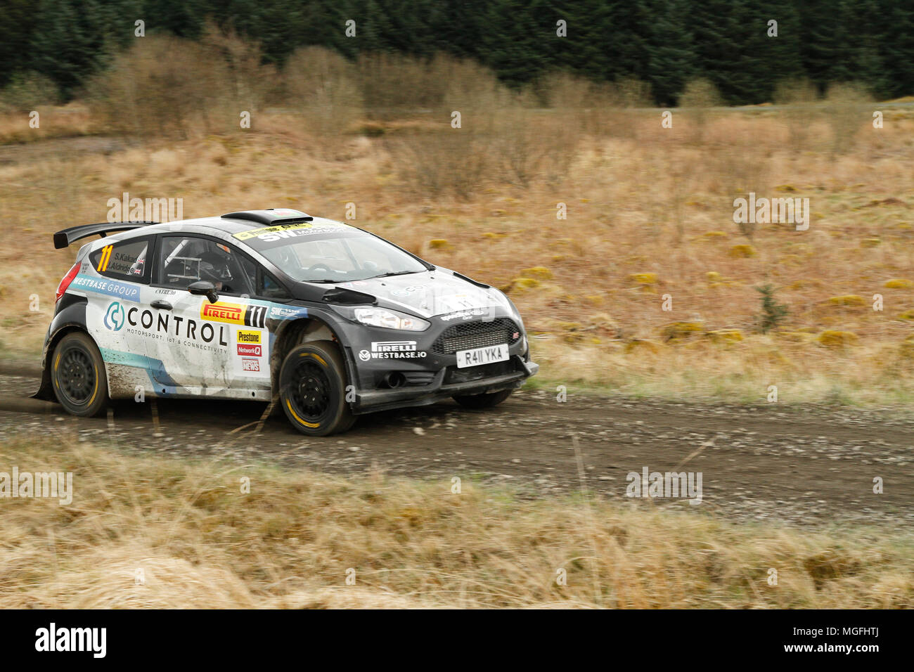 Sacha kakad hi-res stock photography and images - Alamy