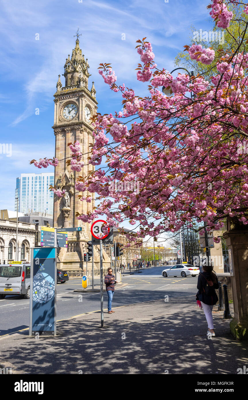 Take photographs hi-res stock photography and images - Alamy