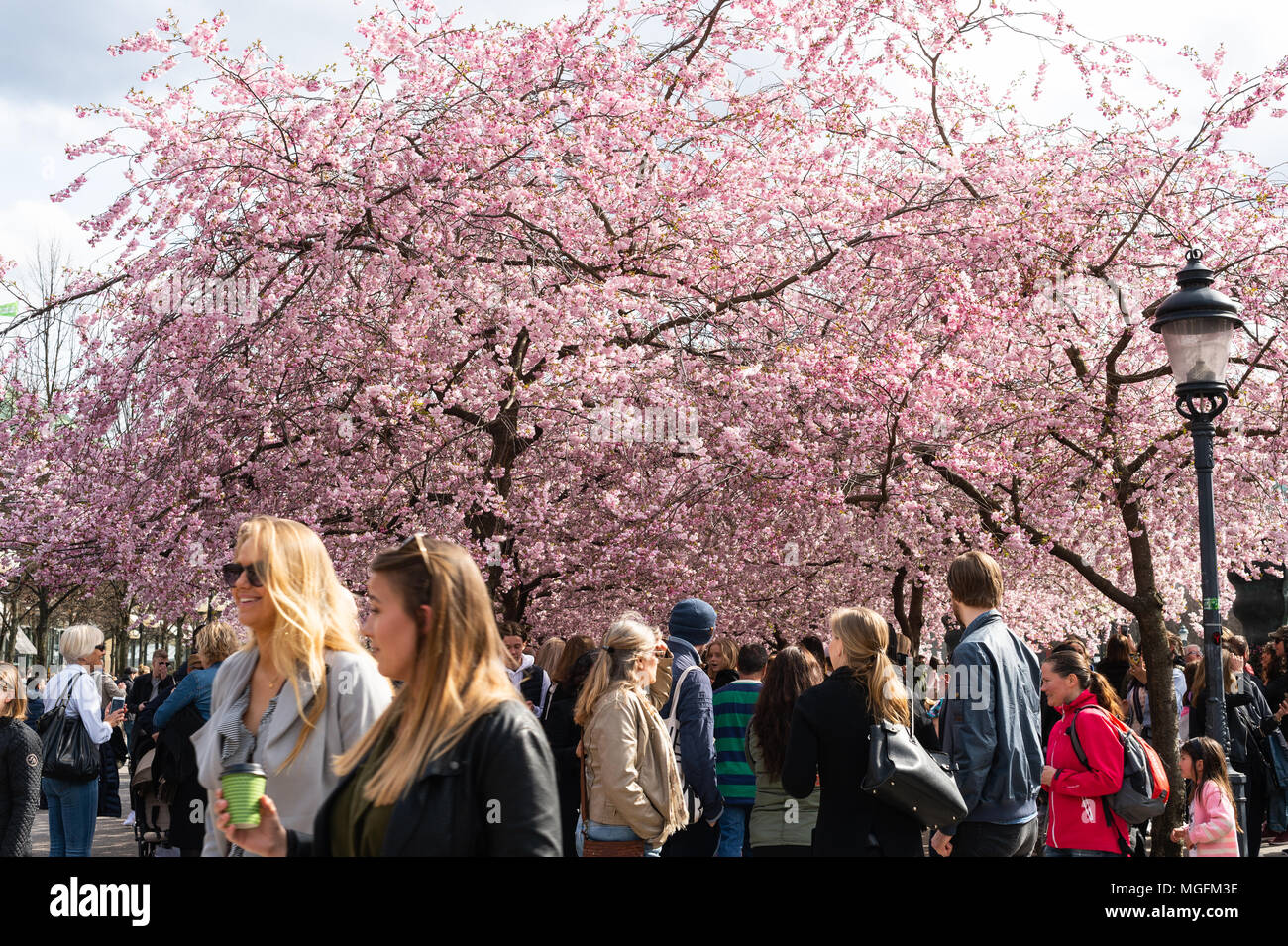 Stockholm, Sweden, 28th April, 2018. Spring weather in Stockholm. The ...