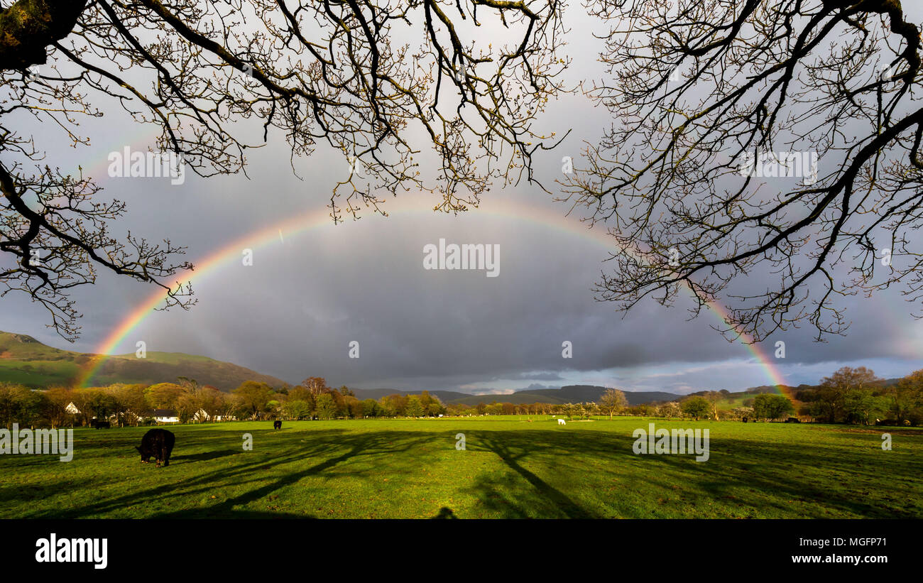 Very nice rainbow hi-res stock photography and images - Alamy
