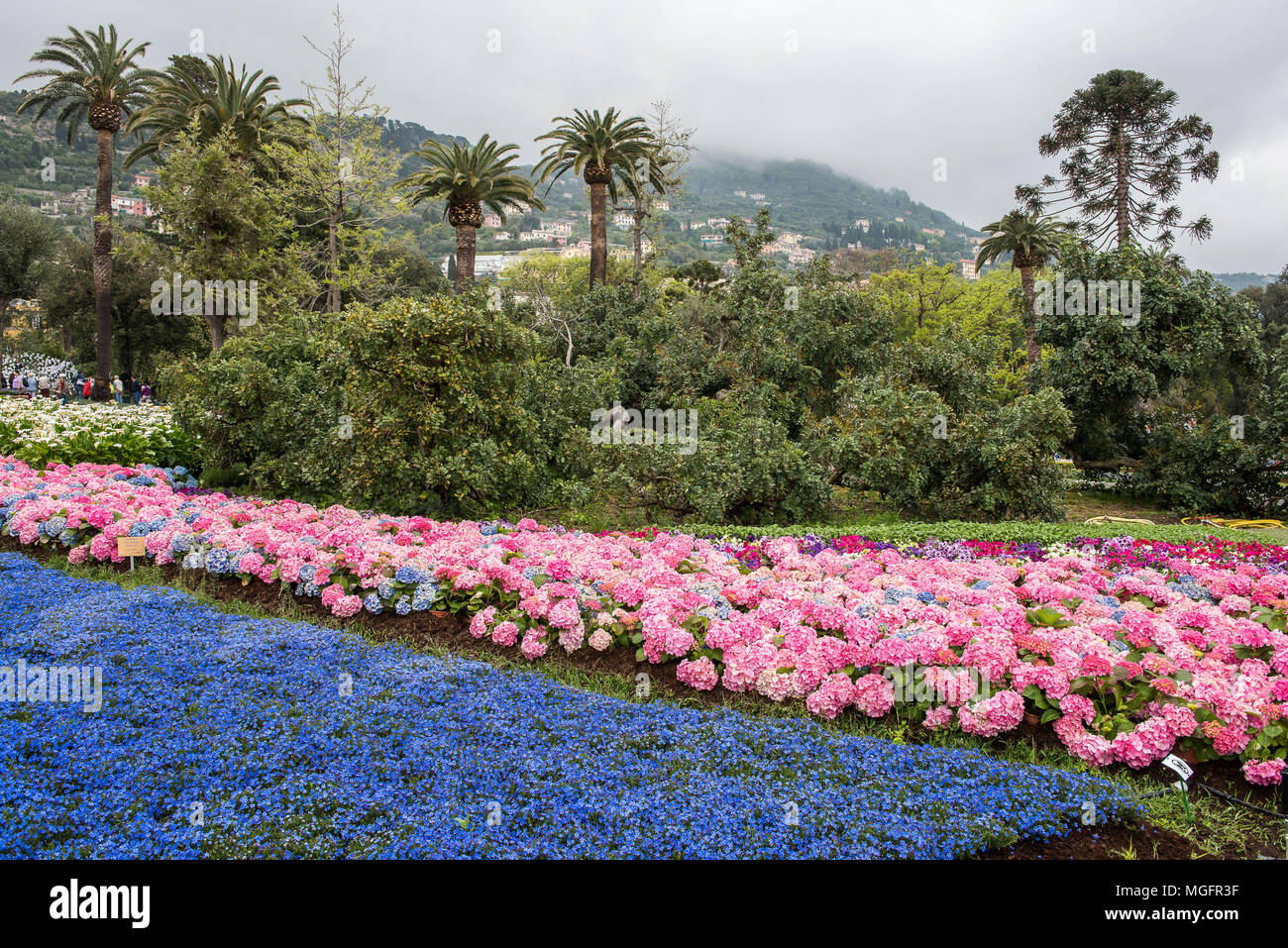 Genoa, Italy. 26 April 2018 Flower and ornamental plant exhibition ...