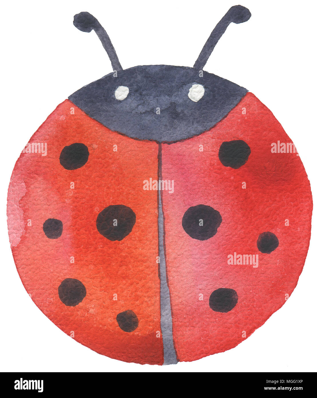 watercolor hand drawn hand drawn ladybug isolated Stock Photo - Alamy