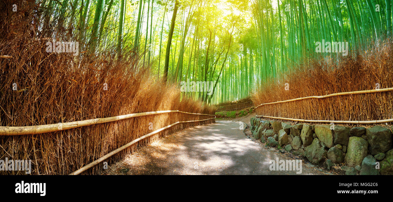 Bamboo forest japan hi-res stock photography and images - Alamy