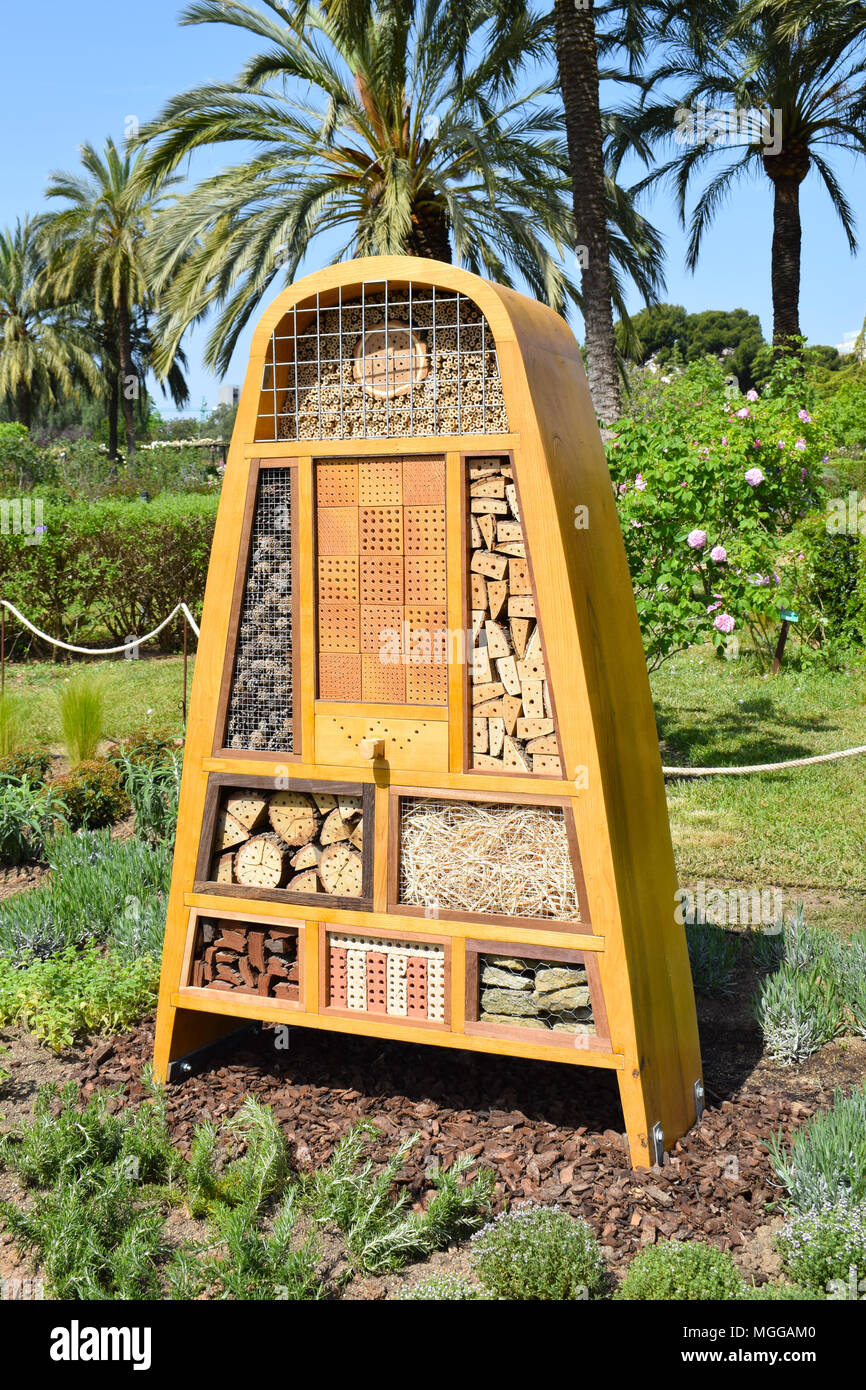 Axillo of insects hi-res stock photography and images - Alamy