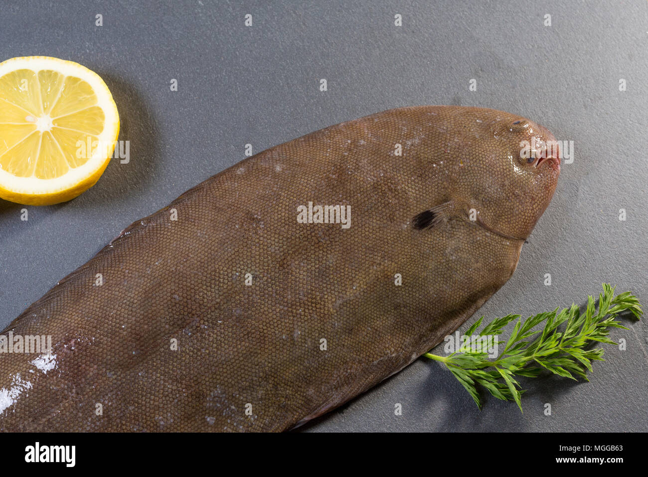 Black flounder hi-res stock photography and images - Alamy