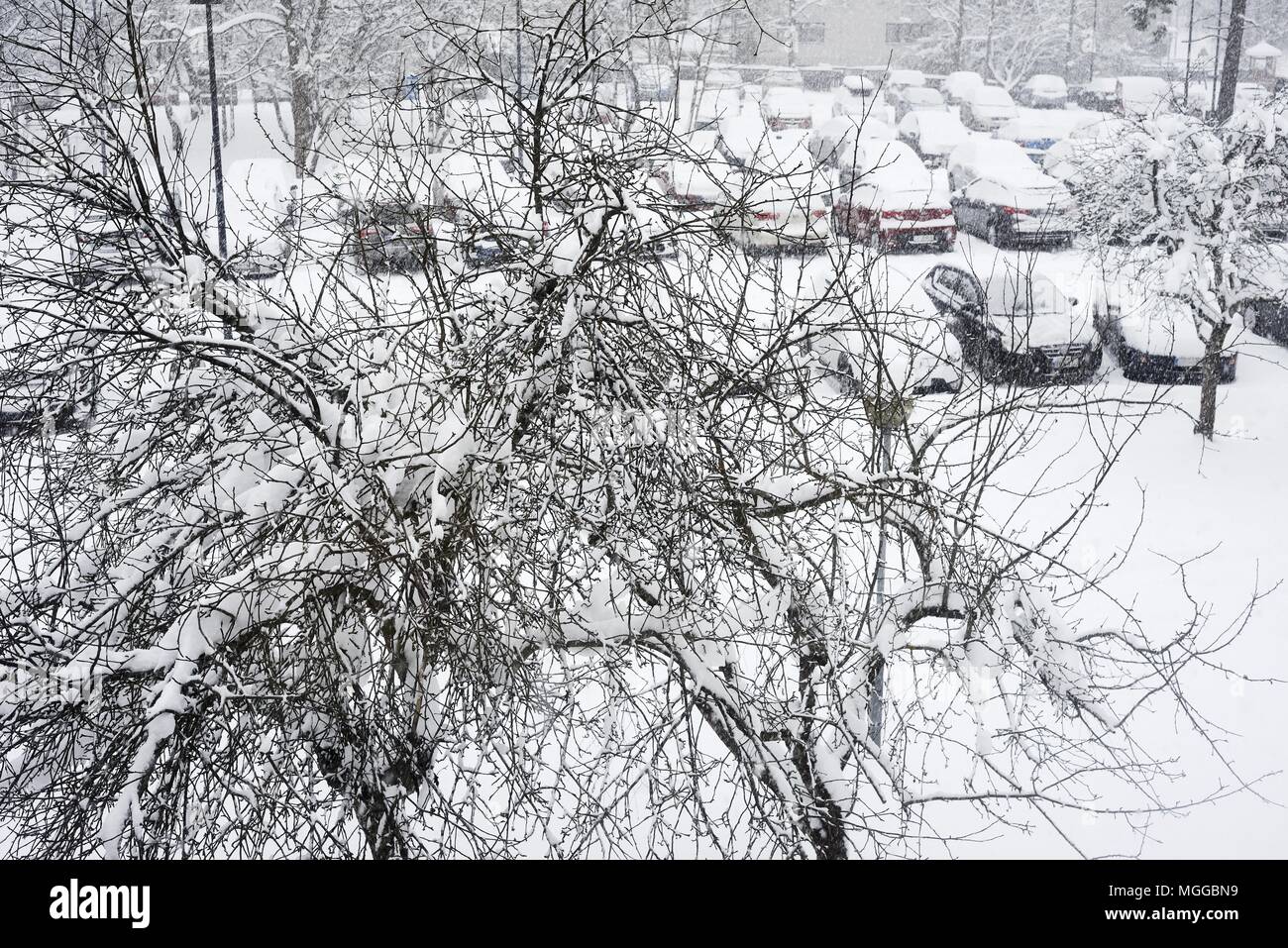 Frozen window street view hi-res stock photography and images - Alamy