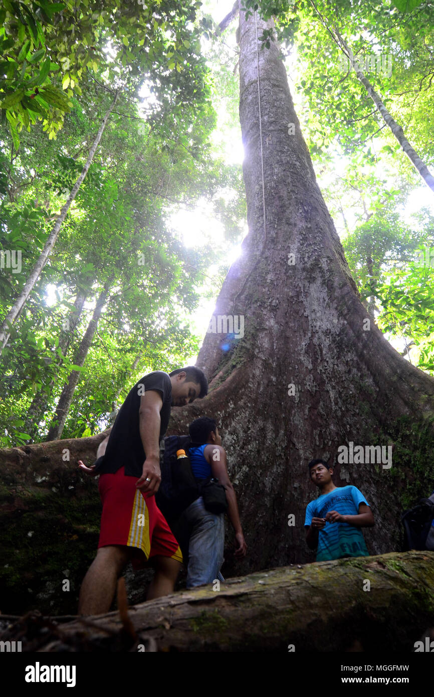 The Meratus mountains, South Borneo, Indonesia Stock Photo - Alamy