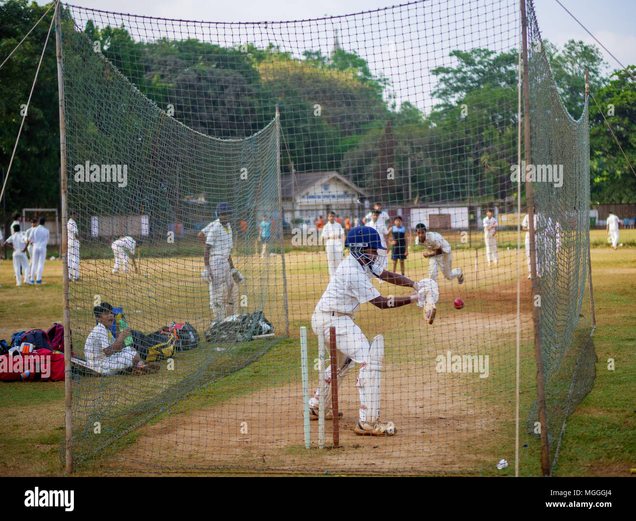Cricketing skills hi-res stock photography and images - Alamy