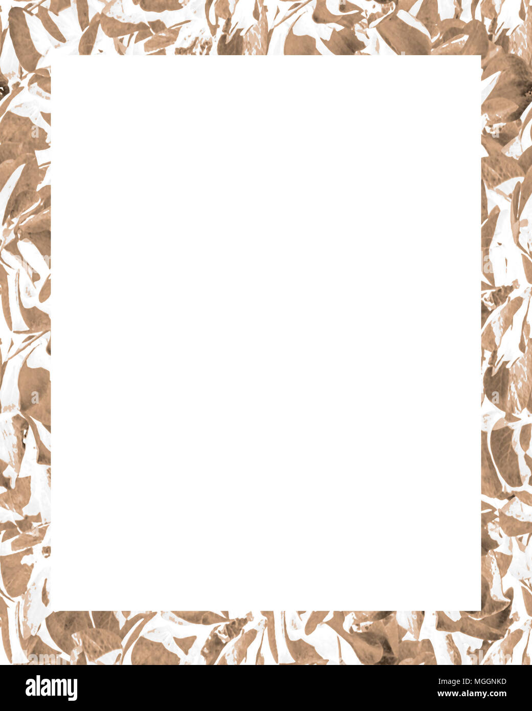 White frame background with decorated design borders Stock Photo - Alamy