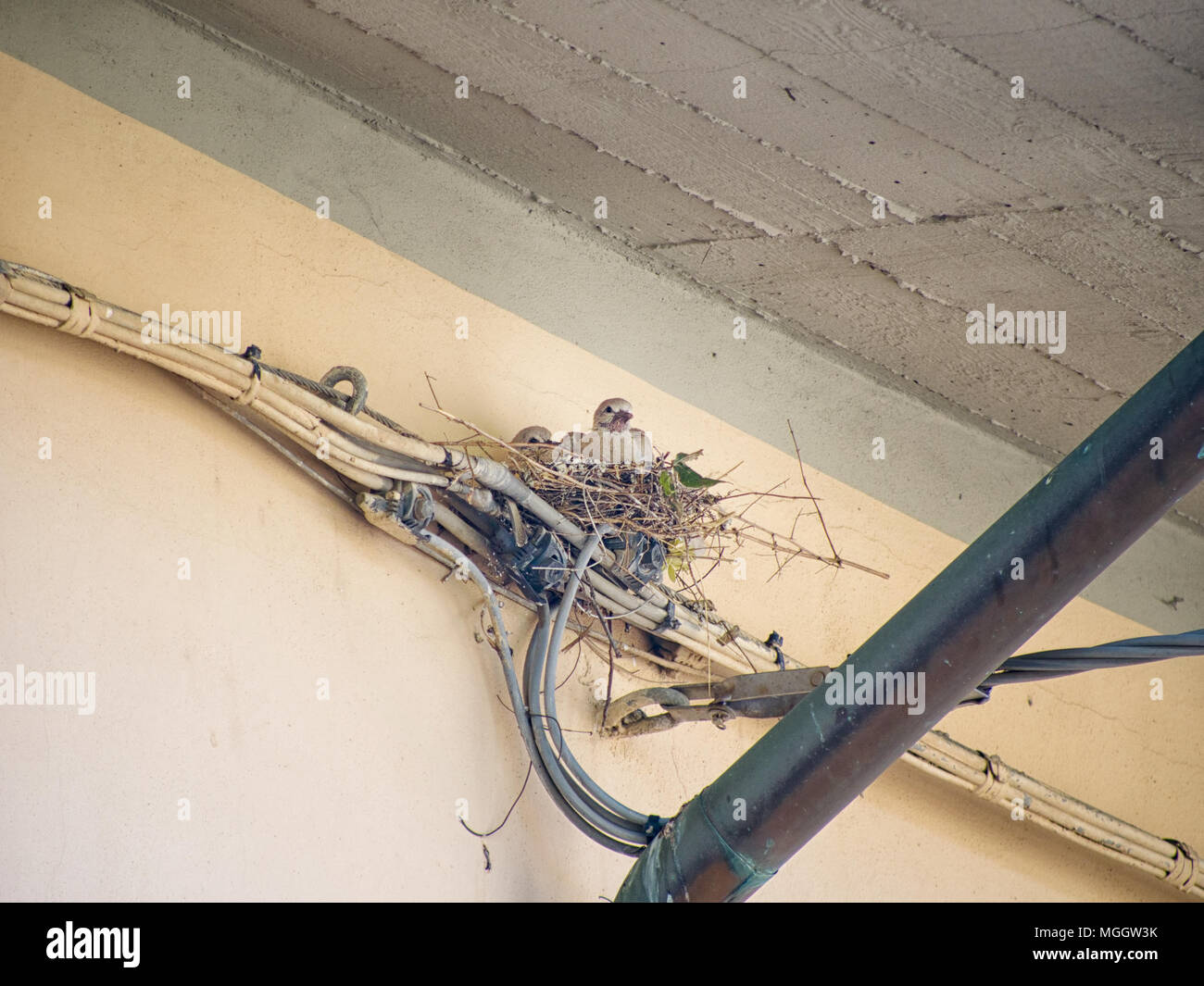 On electrical wiring! Stock Photo - Alamy
