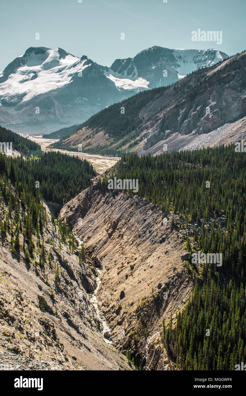 Snow capped evergreen trees and tourism hi-res stock photography and ...