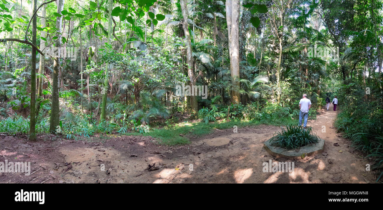 The Marx Burle Park in San Paulo Brazil Stock Photo - Alamy