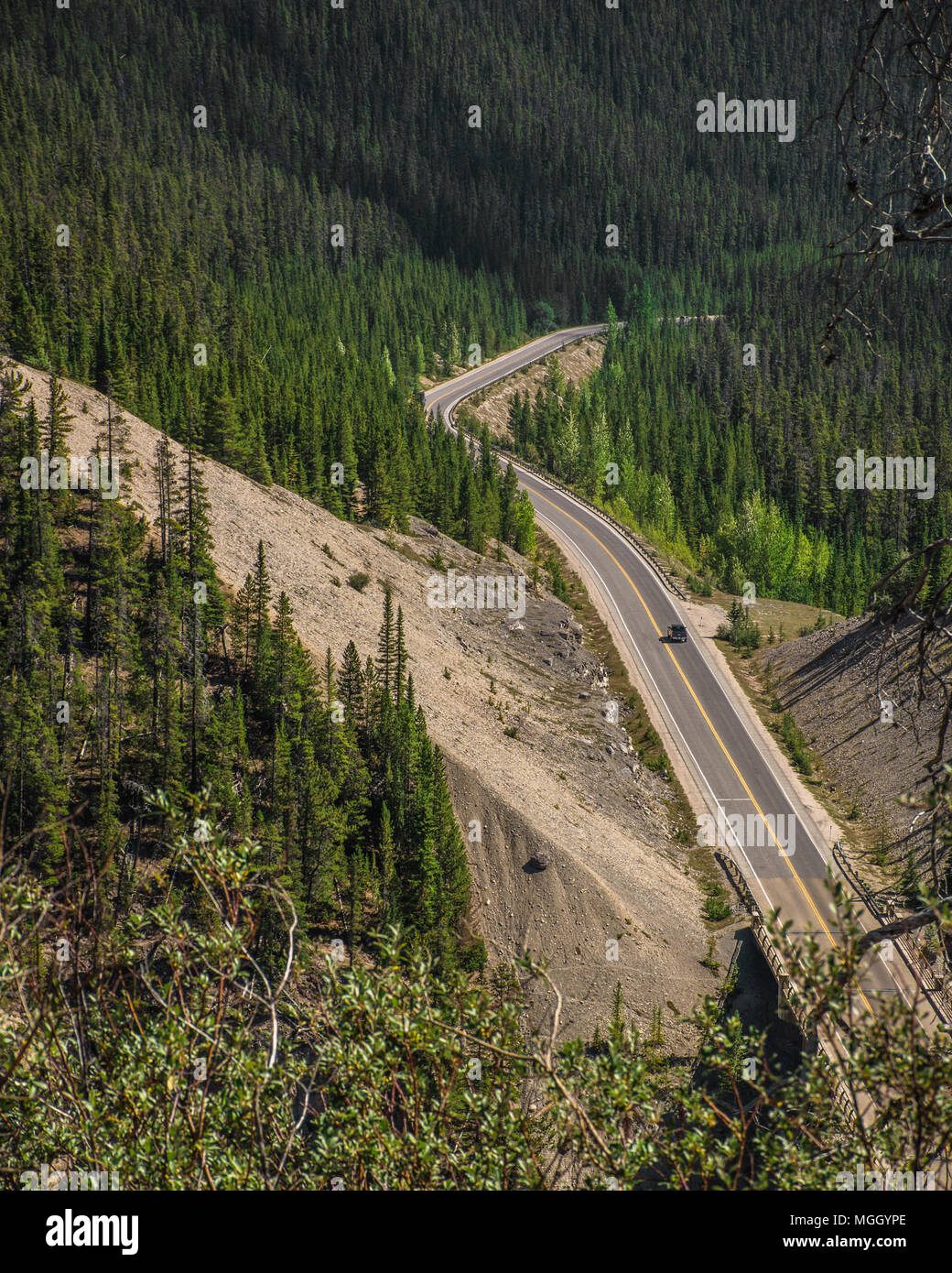Jasper national park highway hi-res stock photography and images - Alamy