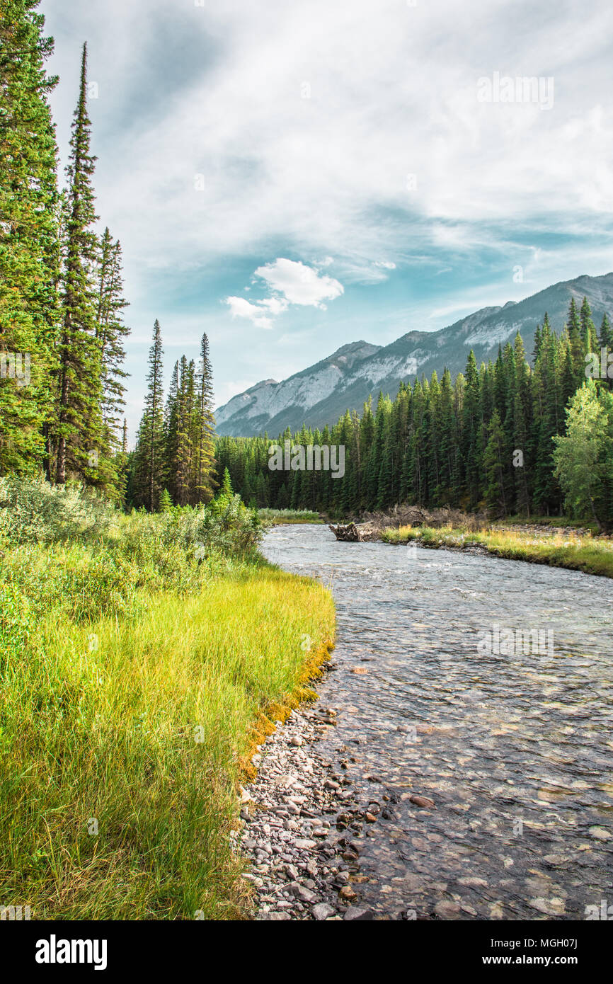 Beautiful mountain river in Banff Alberta Canada Stock Photo - Alamy