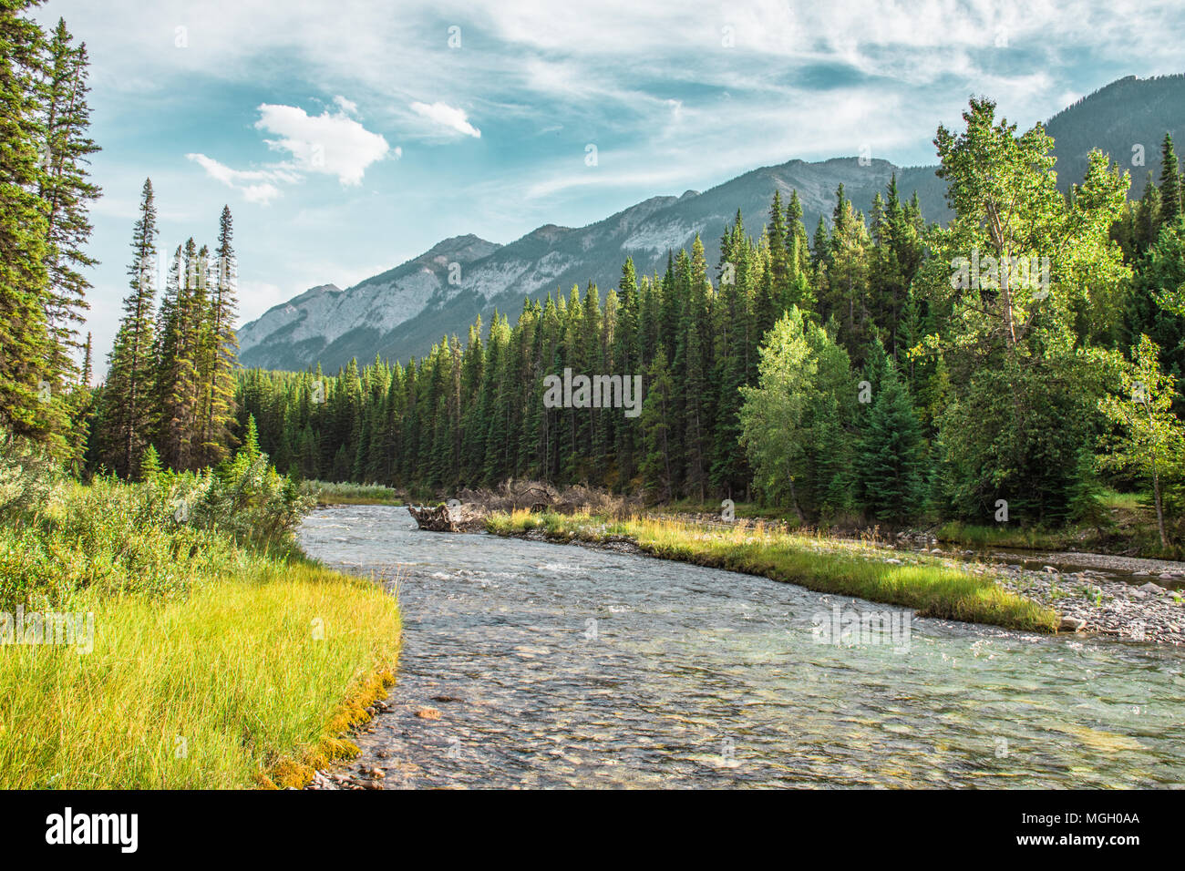 Beautiful mountain river in Banff Alberta Canada Stock Photo - Alamy
