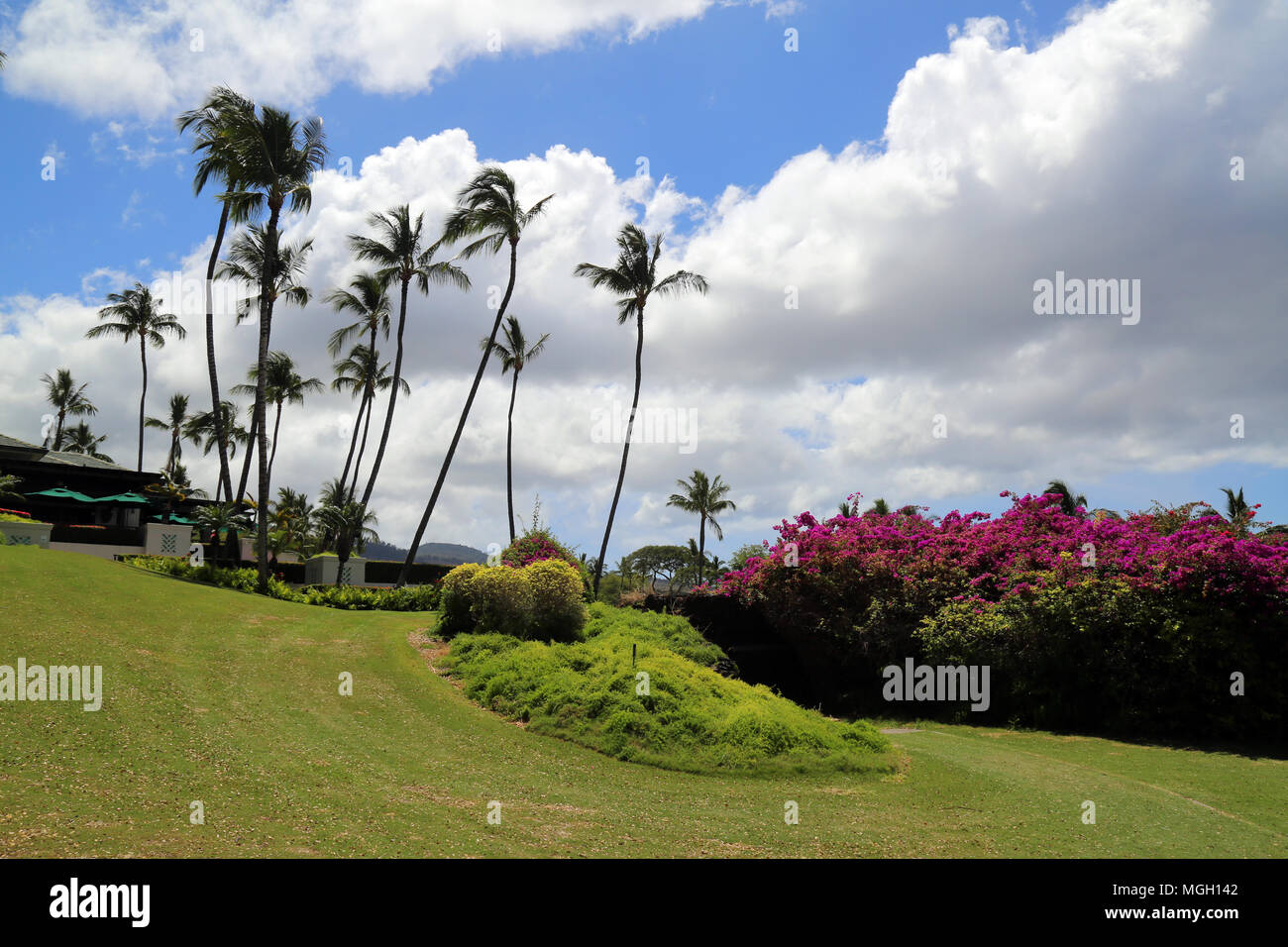 Hawaii Golf Course High Resolution Stock Photography and Images - Alamy