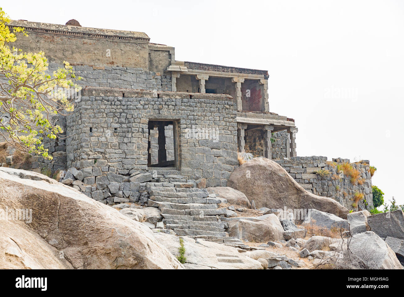 Ginjee india hi-res stock photography and images - Alamy