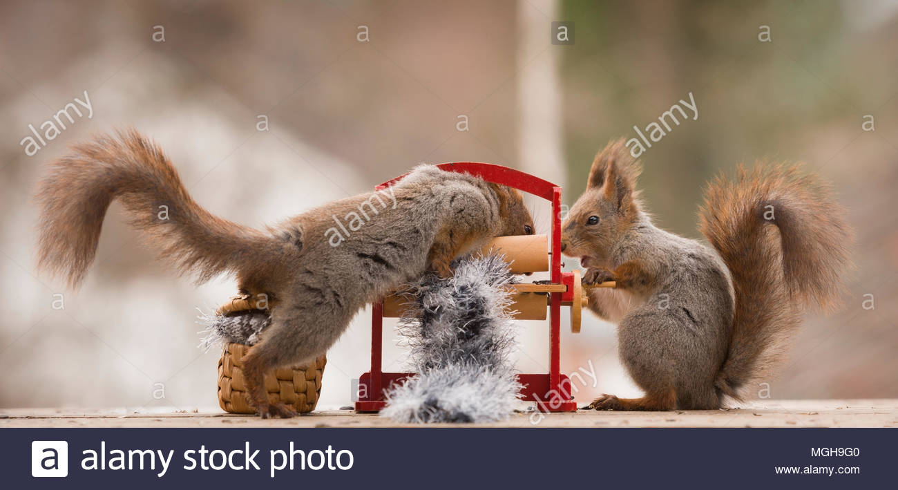 Washing Wringer Stock Photos & Washing Wringer Stock Images - Alamy
