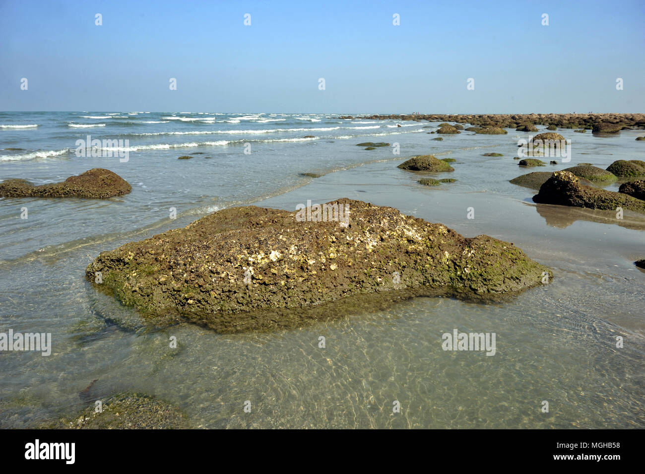Jewel damsel hi-res stock photography and images - Alamy