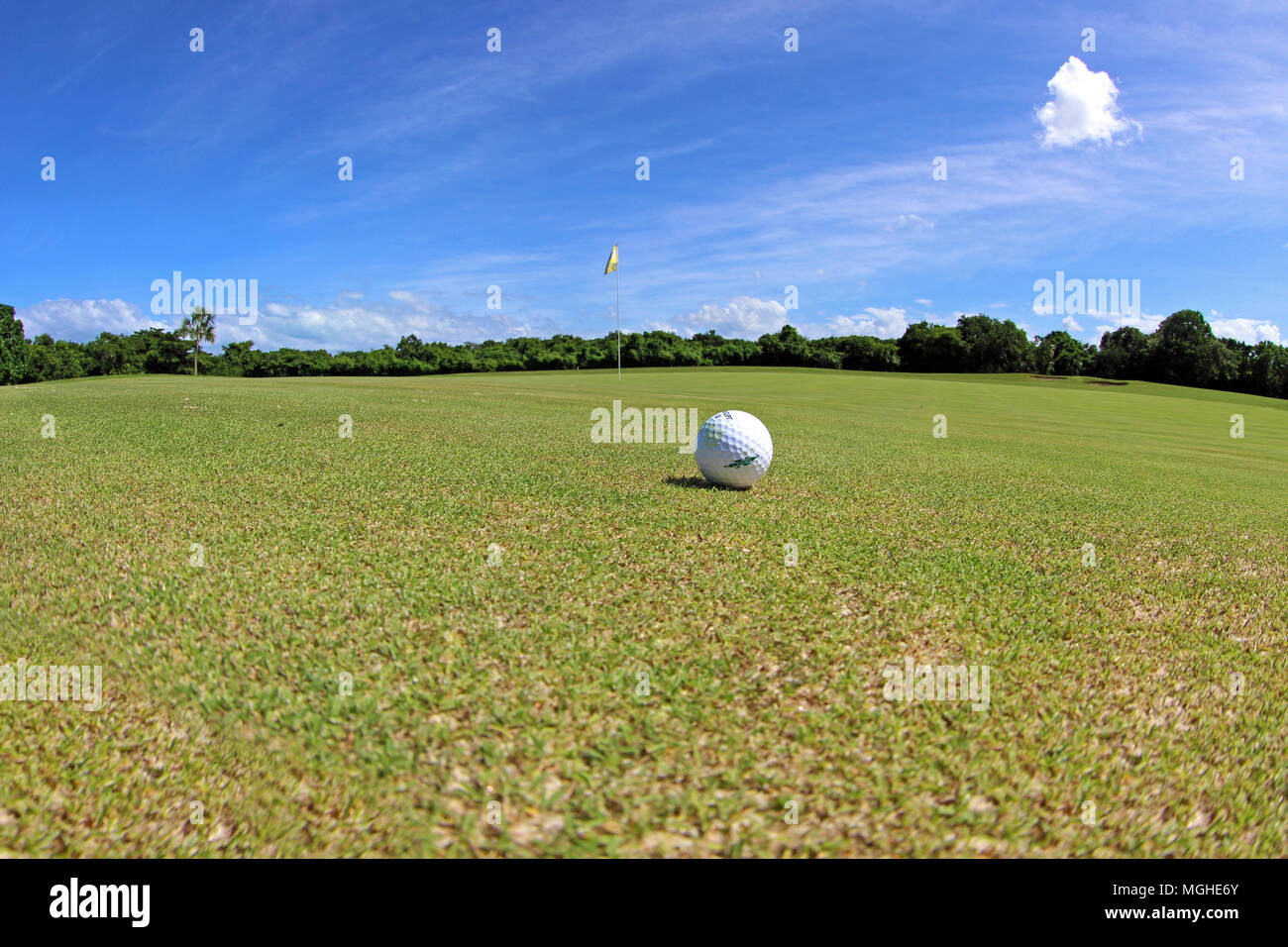 Golf Ball on the Course Stock Photo - Alamy