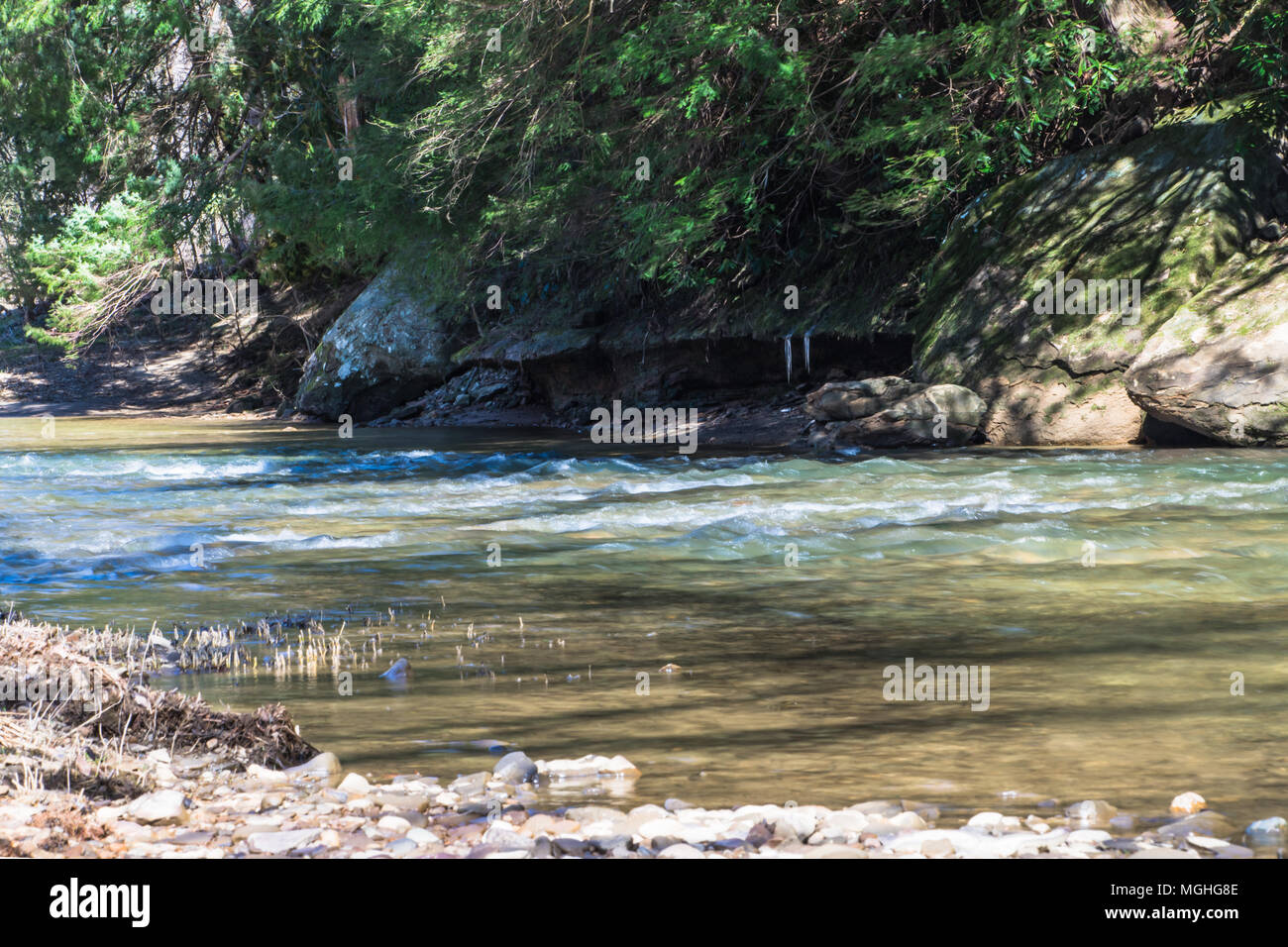 Early Spring in Ohio Stock Photo - Alamy