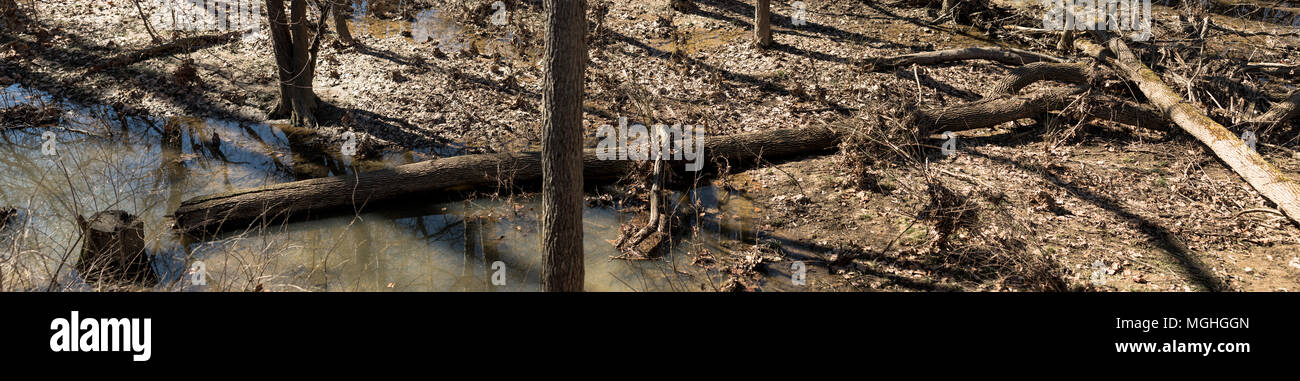 Fallen giant hi-res stock photography and images - Alamy