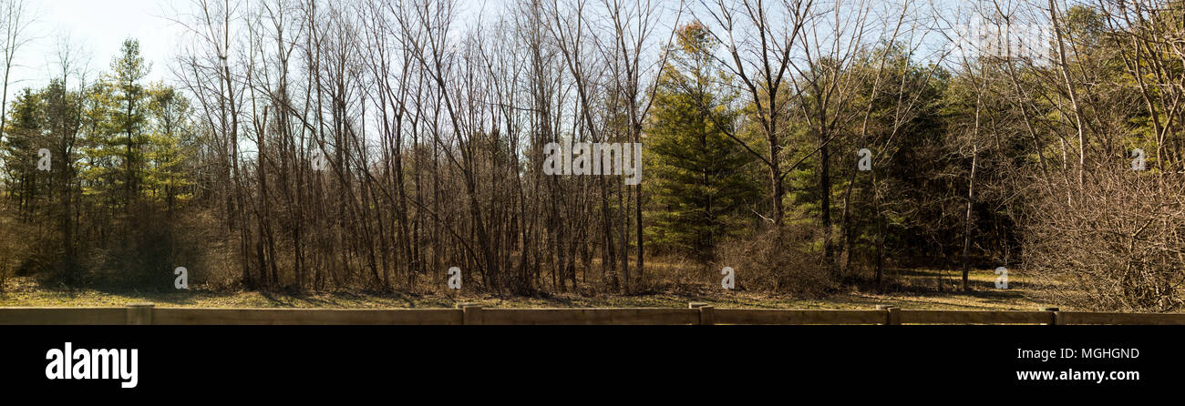 Early Spring Landscape Stock Photo - Alamy