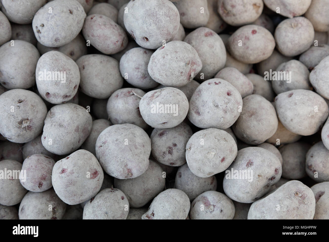 Red norland potatoes hi-res stock photography and images - Alamy