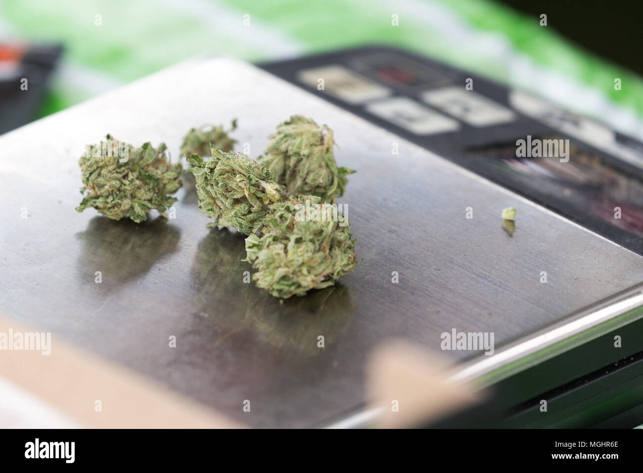 Healing medical strains of cannabis marijuana close-up Stock Photo - Alamy
