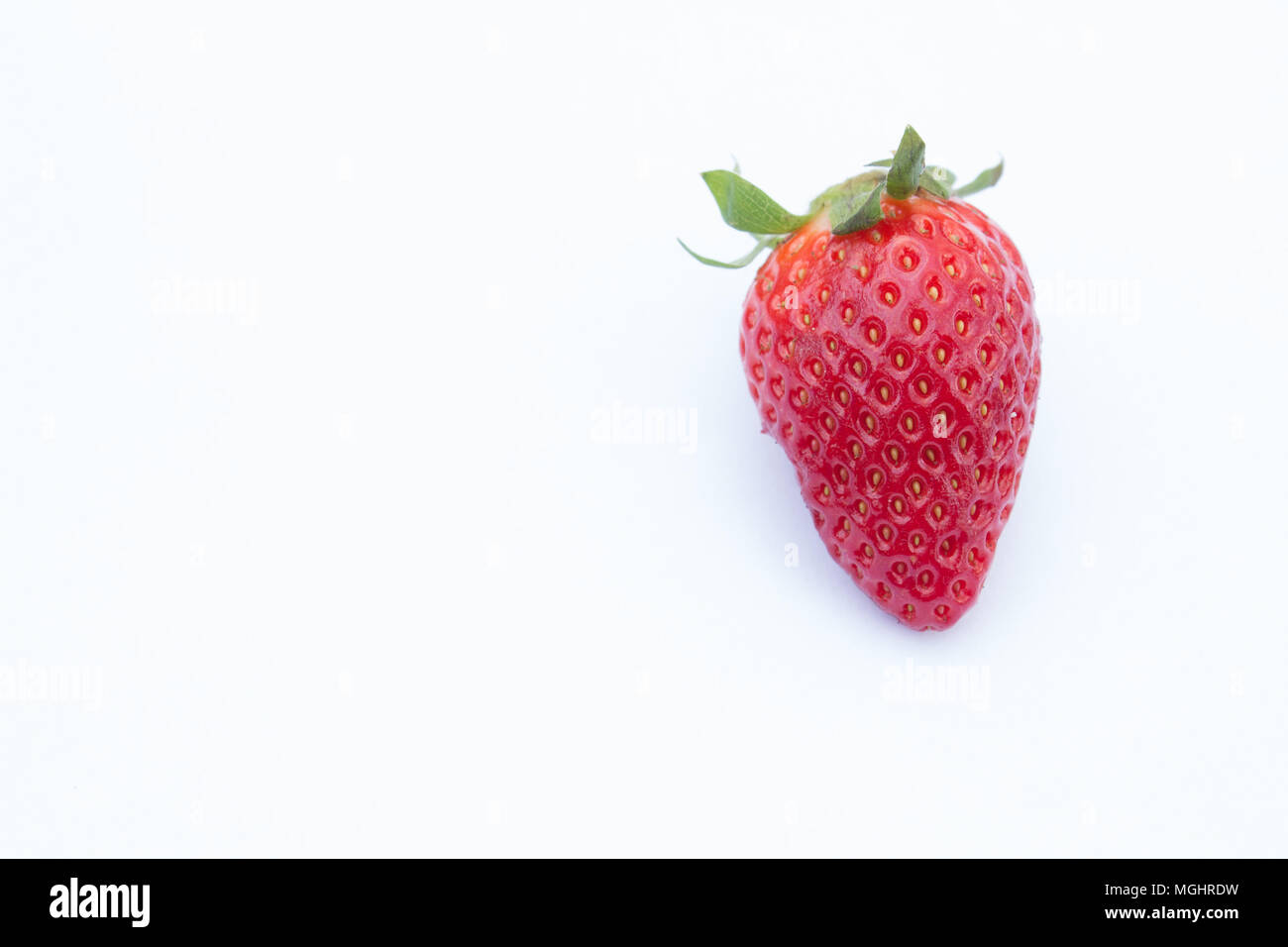 Spring in sunshine Cut Out Stock Images & Pictures - Alamy