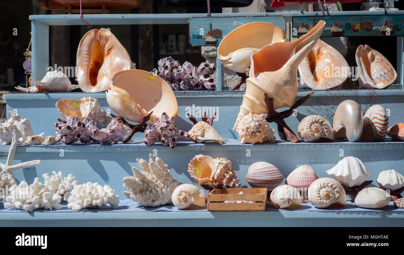 Sea shells for sale on a stall of a fishing village in southern Italy ...