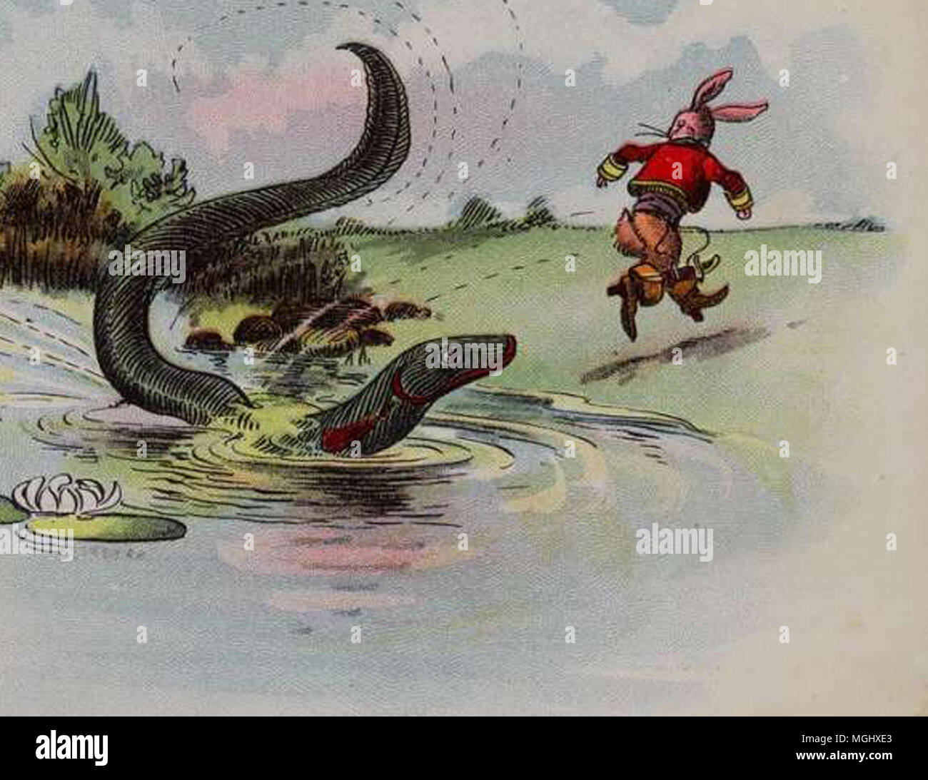 Anthropomorphic animal hi-res stock photography and images - Alamy