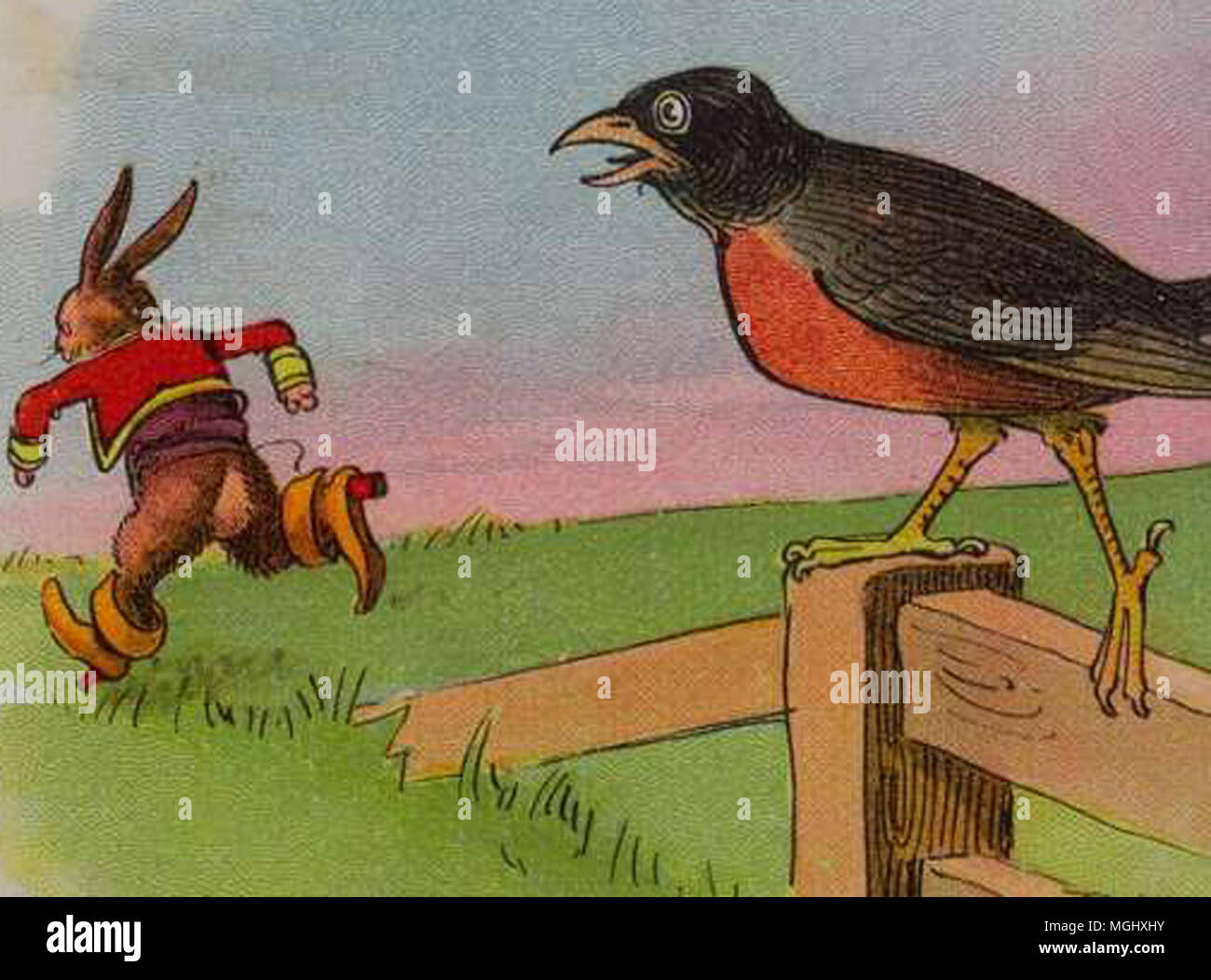 Anthro animal hi-res stock photography and images - Alamy